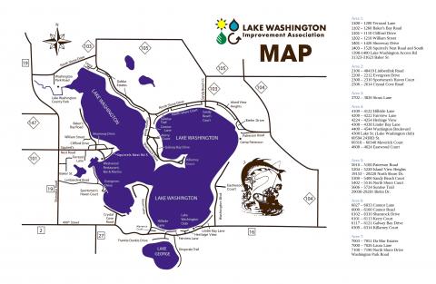 Board Members - Lake Washington Association